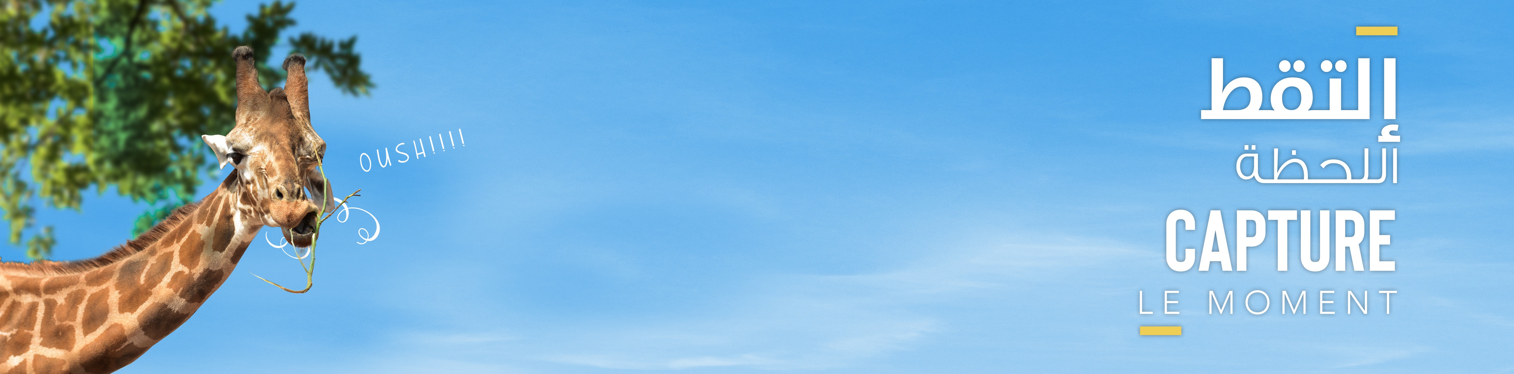 ROYAUME DU MAROC || Jardin Zoologique de Rabat, La rencontre sauvage